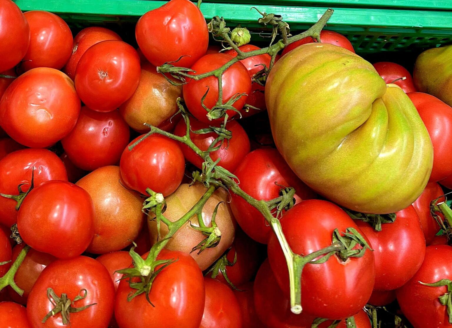 Sicilian Swordfish with Eggplant and Tomatoes - Feasting on Italy