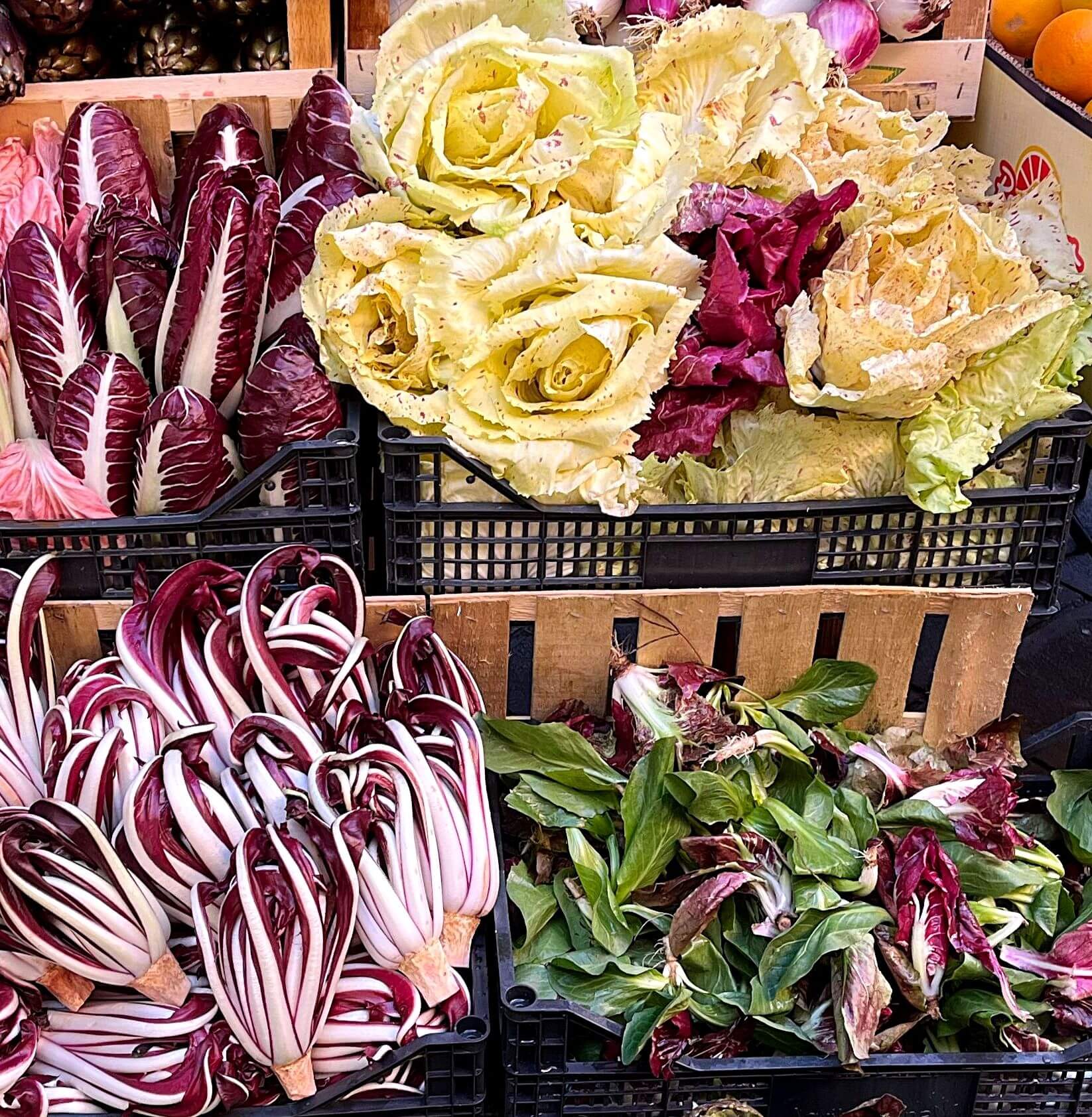 Radicchio, Roasted Artichoke, and Mozzarella Salad - Feasting on Italy